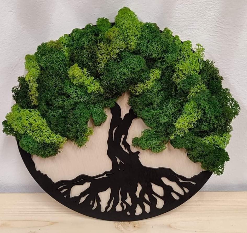 Moss Decor Tree of Life With Stabilized Natural Lichens Green - Etsy