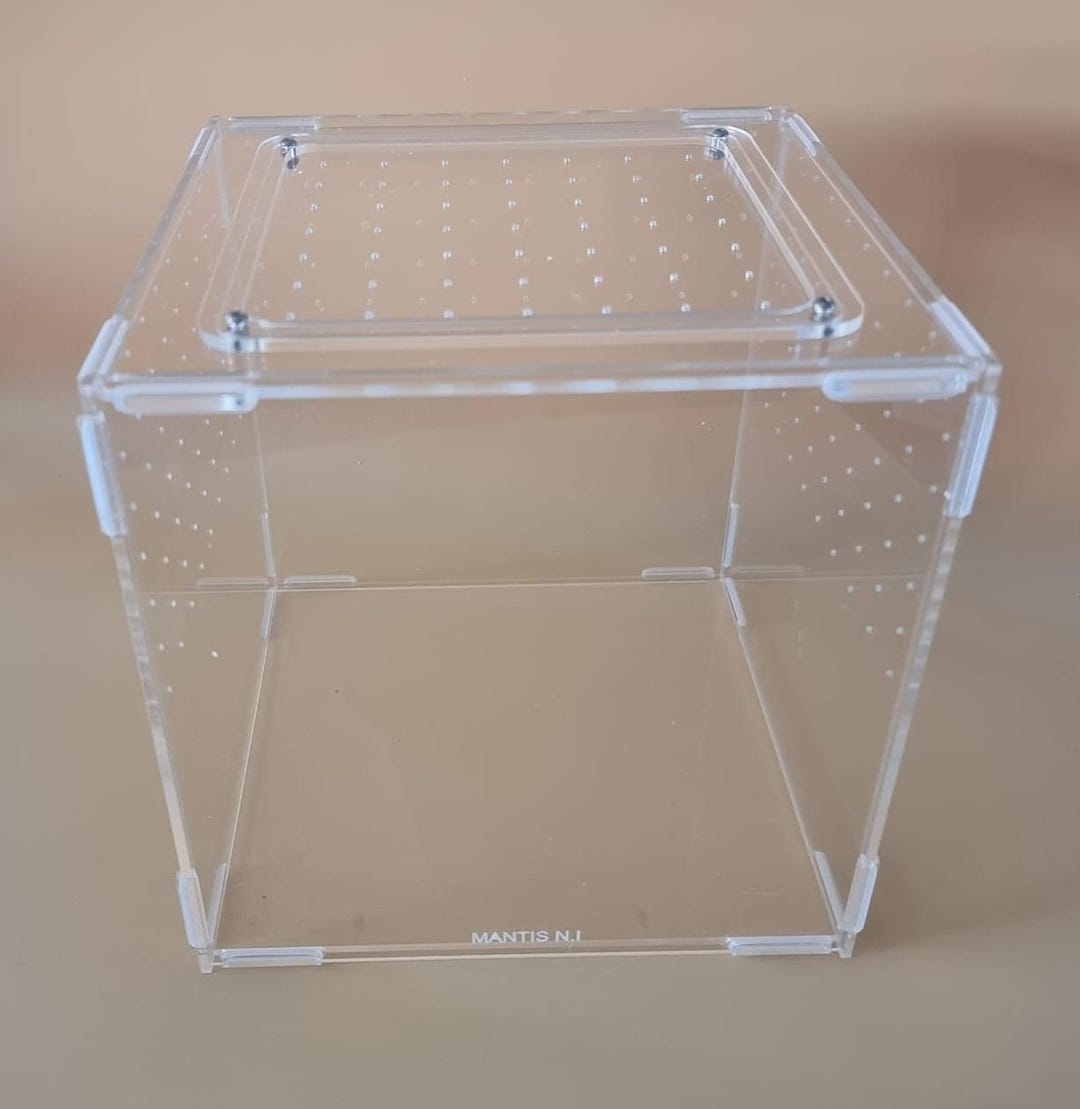 20x20 Top Opening Terrestrial Enclosure - Etsy