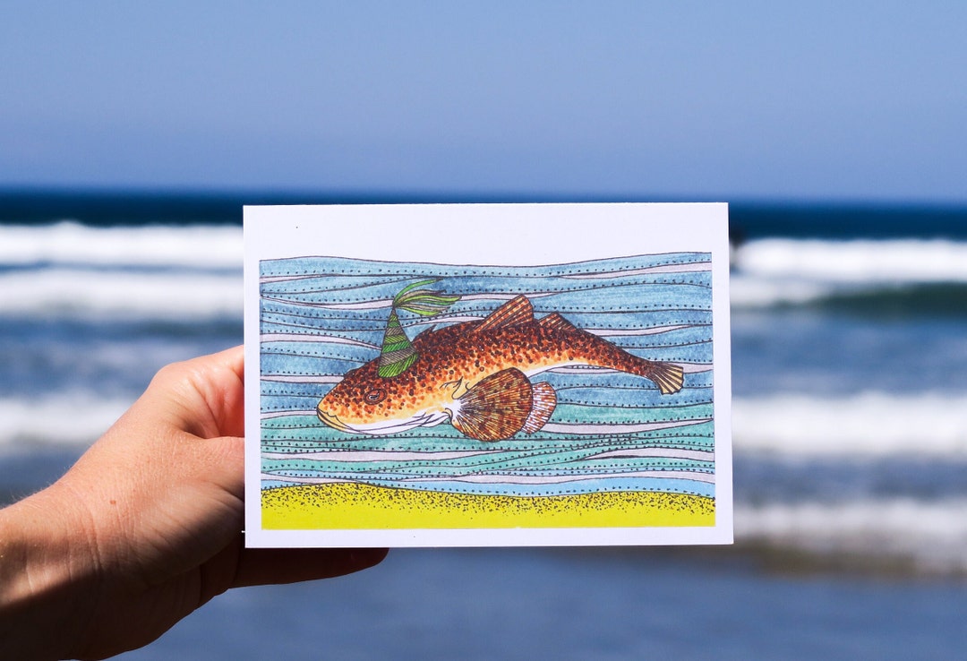 Tiger Flathead Fish Greeting Card Native Australian Ocean Birthday Card ...