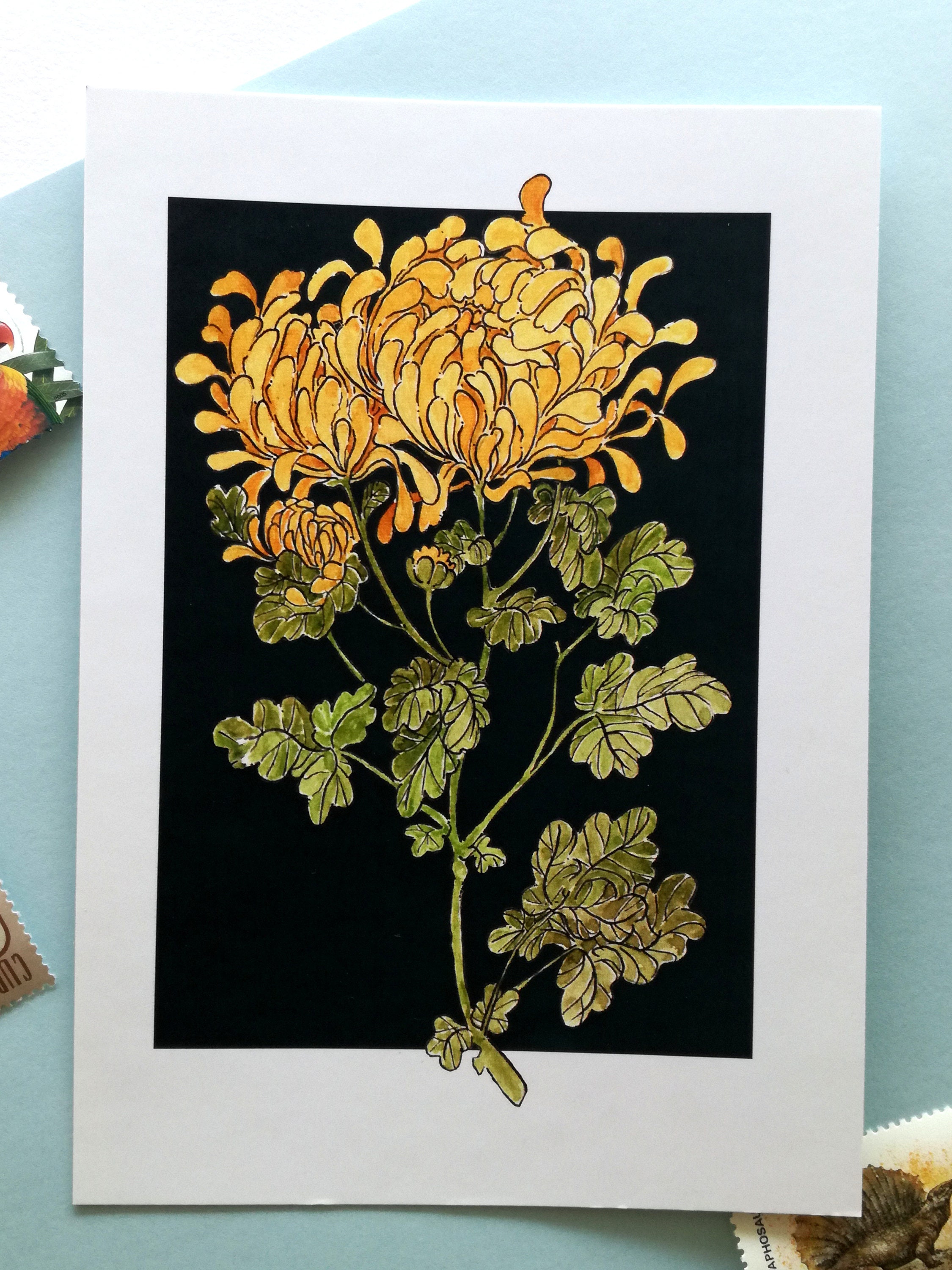 Flower Postcard Set - 3 A6 Flower Illustration Prints - Etsy