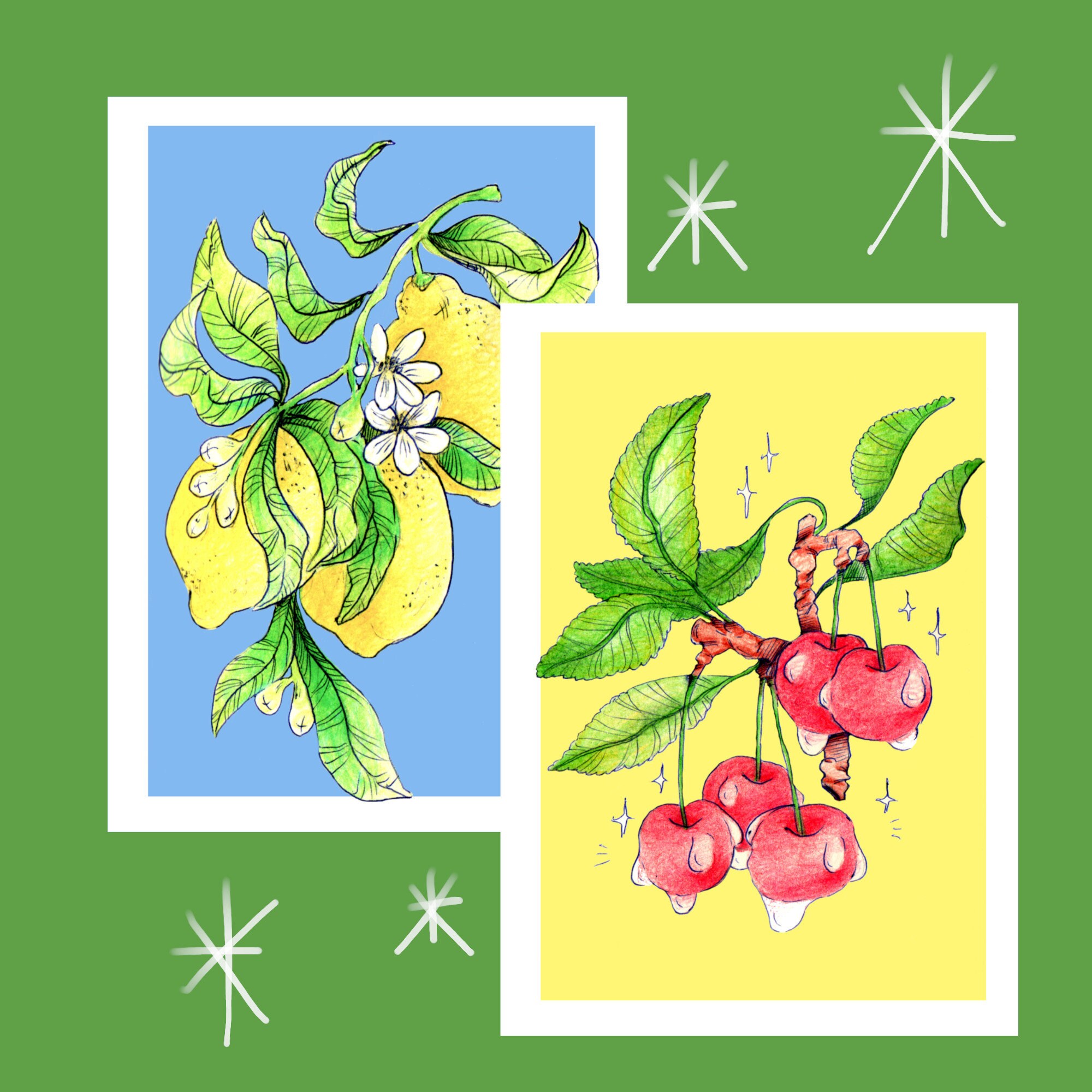 Fruit Postcard Set - 2 A6 Fruit Illustration Prints - Etsy