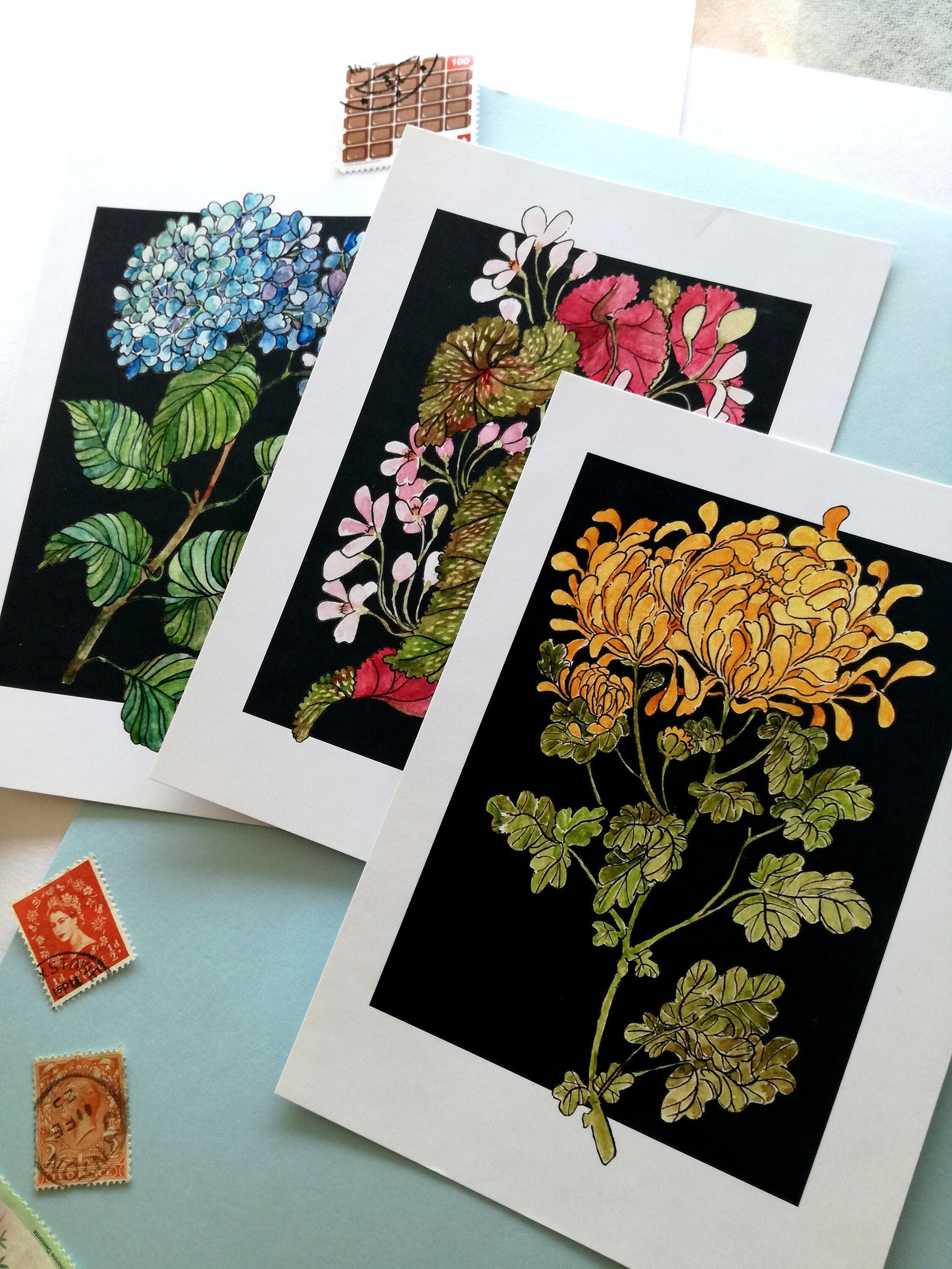 Flower Postcard Set - 3 A6 Flower Illustration Prints - Etsy