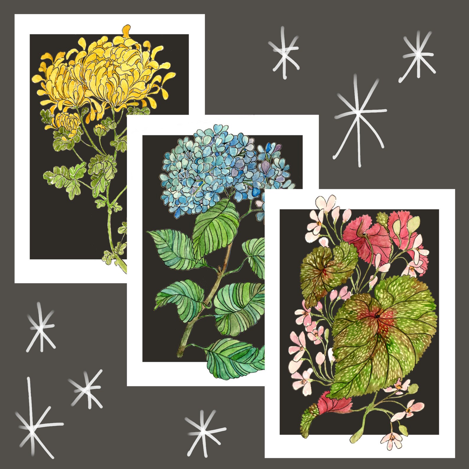 Flower Postcard Set - 3 A6 Flower Illustration Prints - Etsy