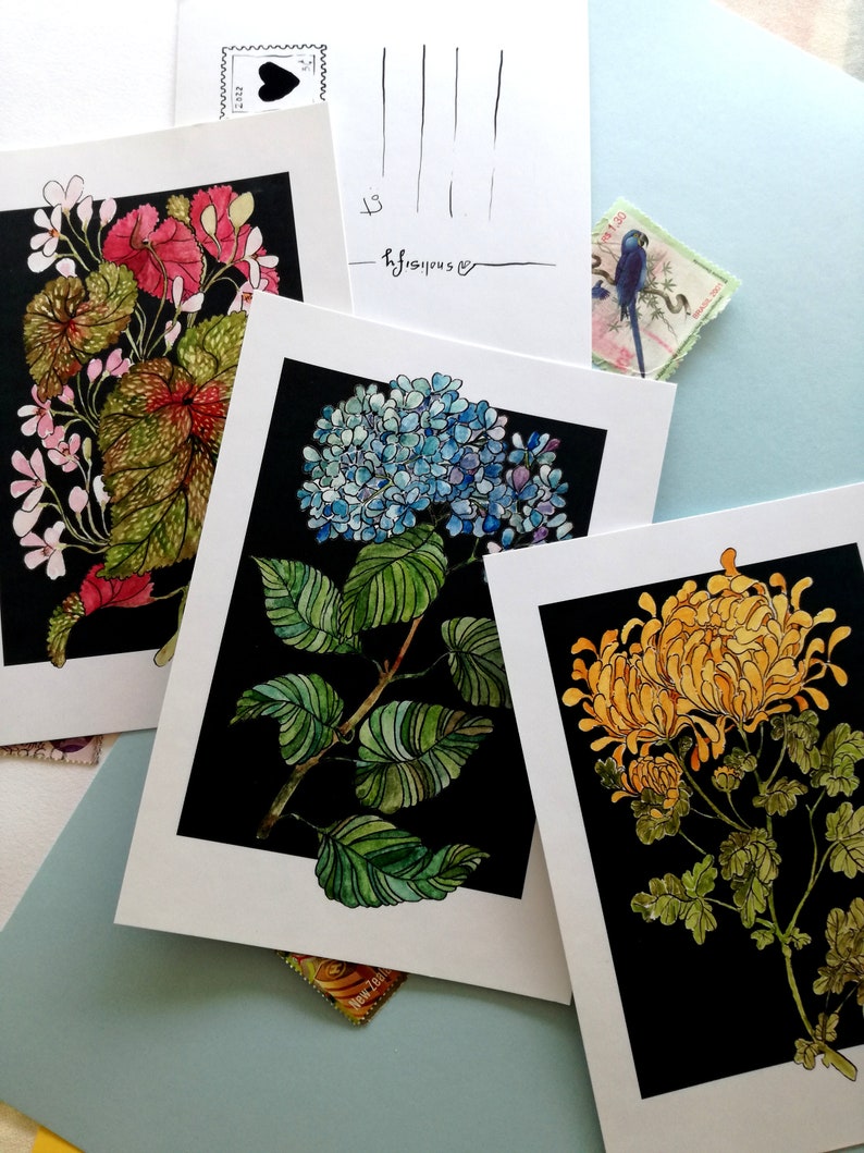 Flower Postcard Set - 3 A6 Flower Illustration Prints - Etsy