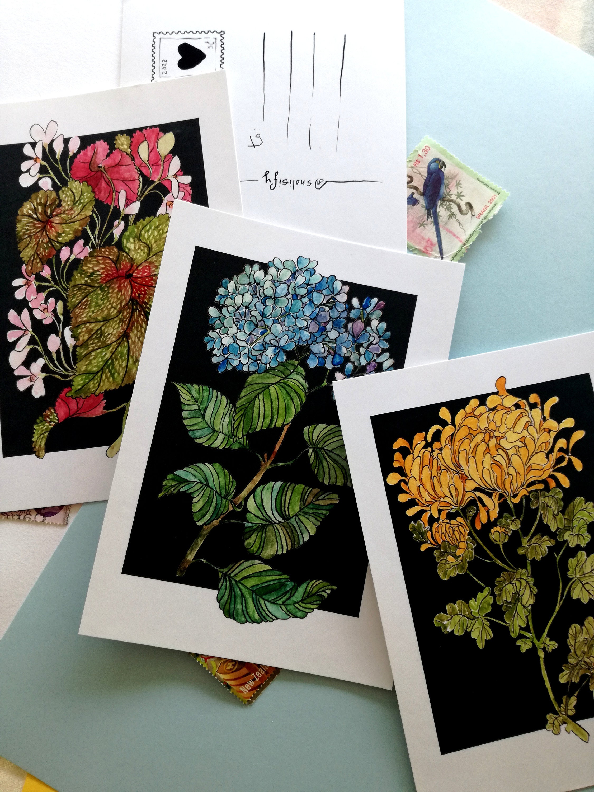 Flower Postcard Set - 3 A6 Flower Illustration Prints - Etsy