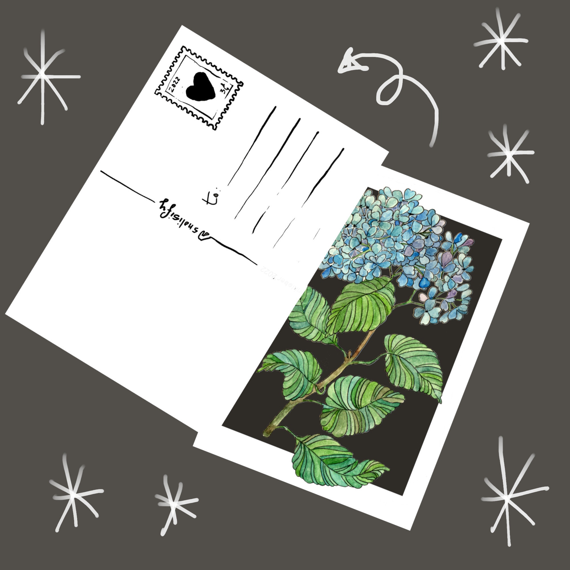 Flower Postcard Set - 3 A6 Flower Illustration Prints - Etsy