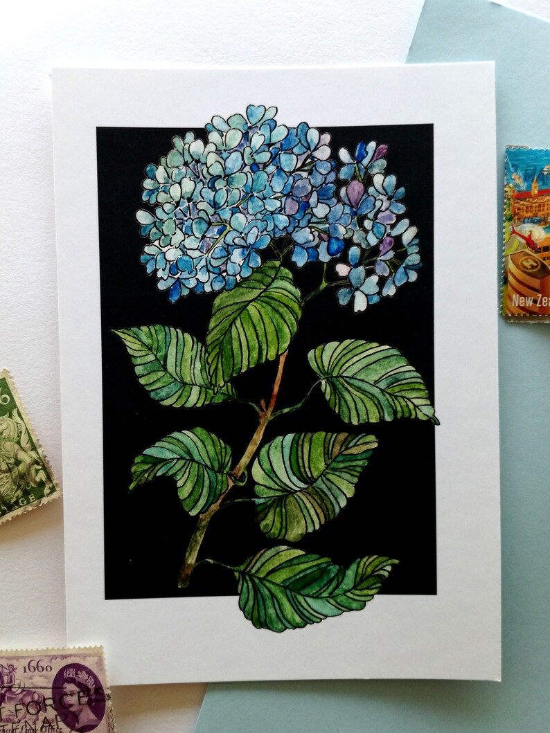 Flower Postcard Set - 3 A6 Flower Illustration Prints - Etsy