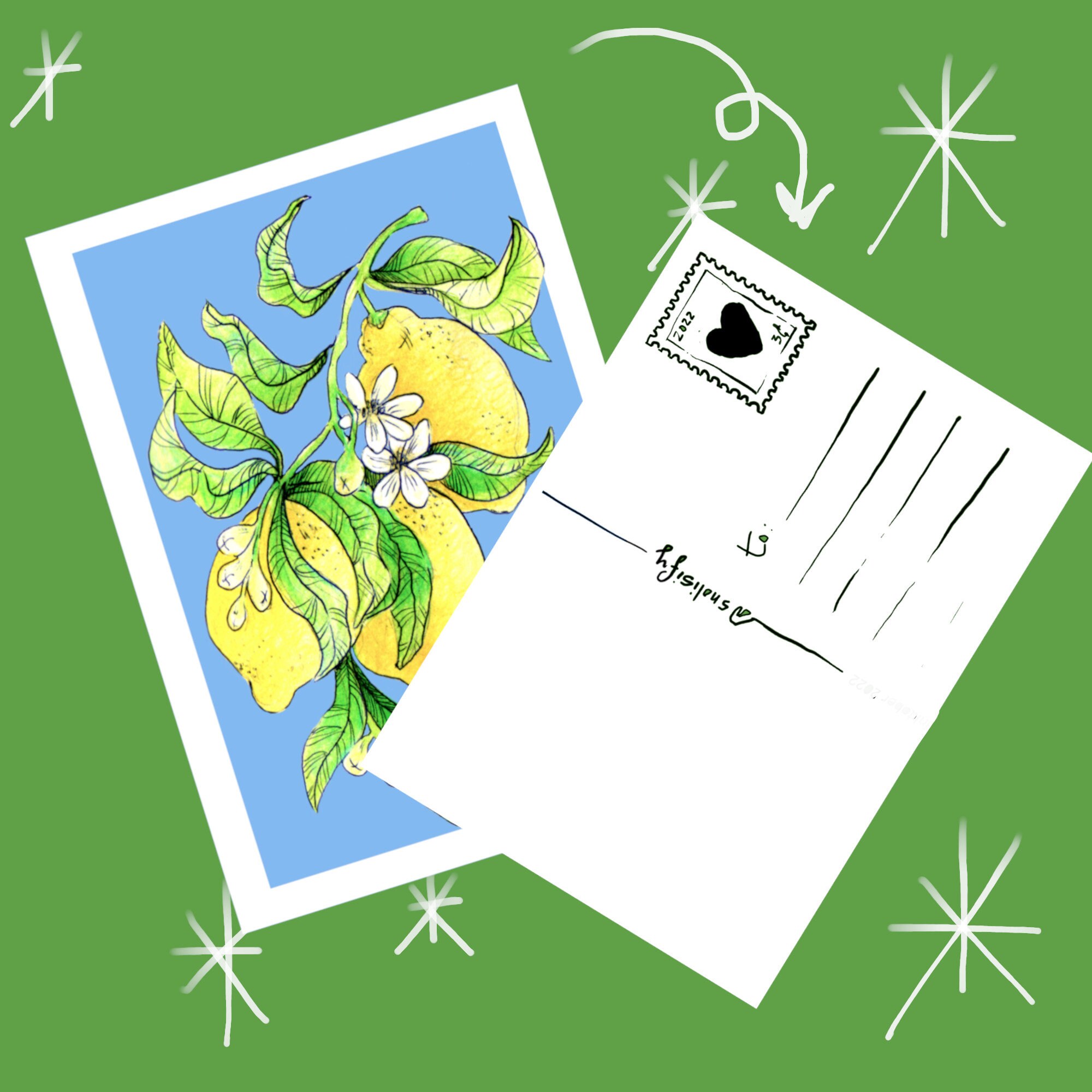 Fruit Postcard Set - 2 A6 Fruit Illustration Prints - Etsy