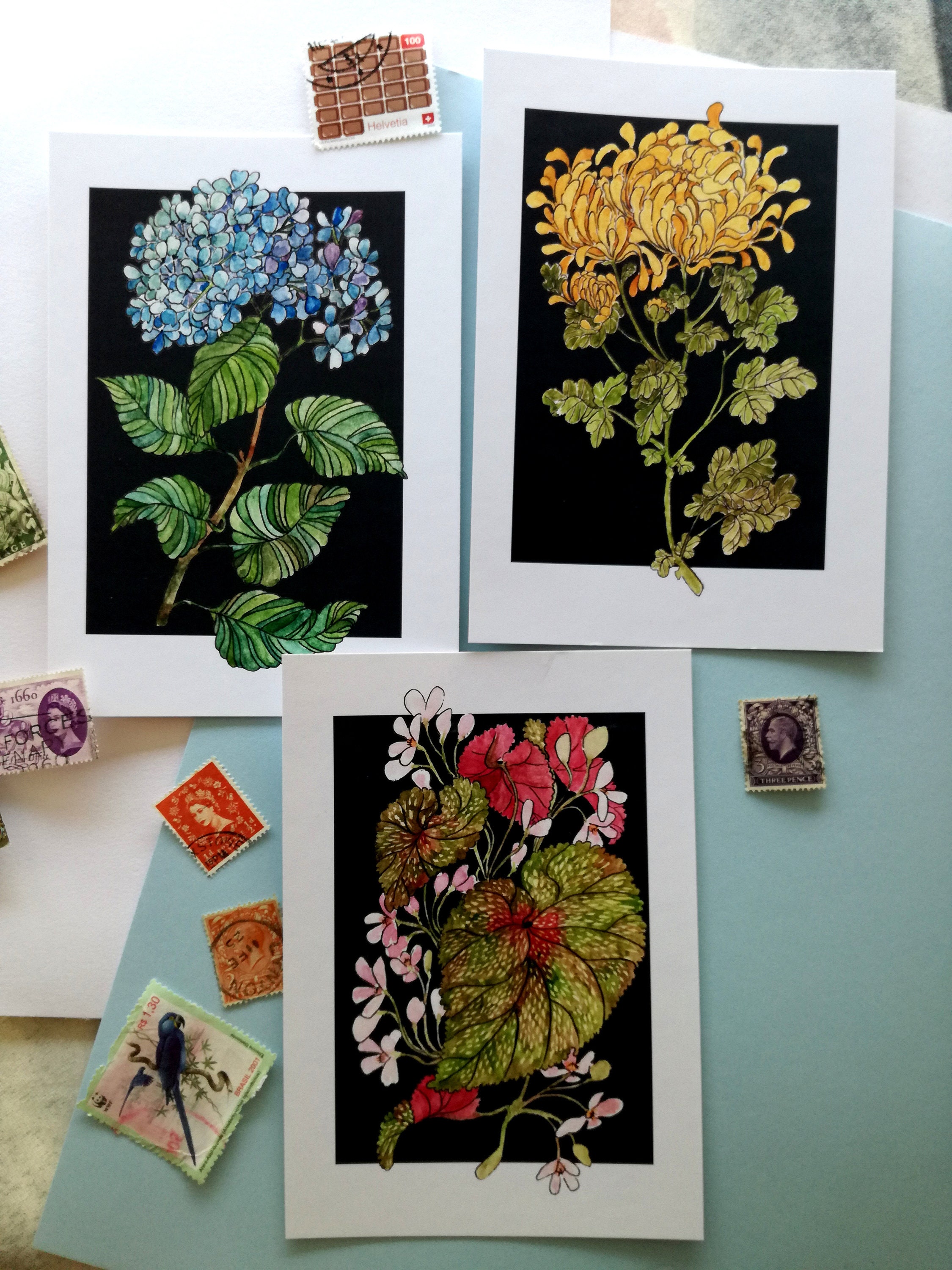 Flower Postcard Set - 3 A6 Flower Illustration Prints - Etsy