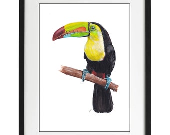 Keel Billed Toucan - Etsy