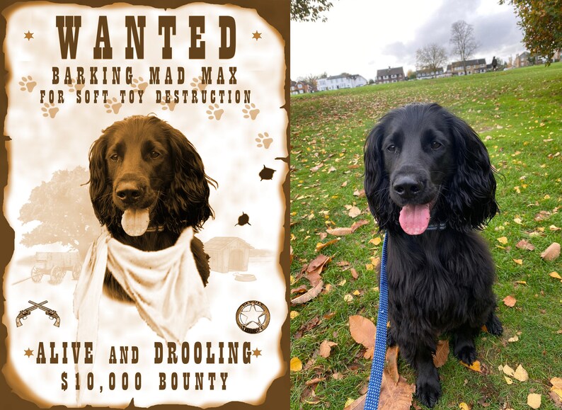 Personalised Wanted Poster for Dogs,cats Pets, Wild West. Digital ...