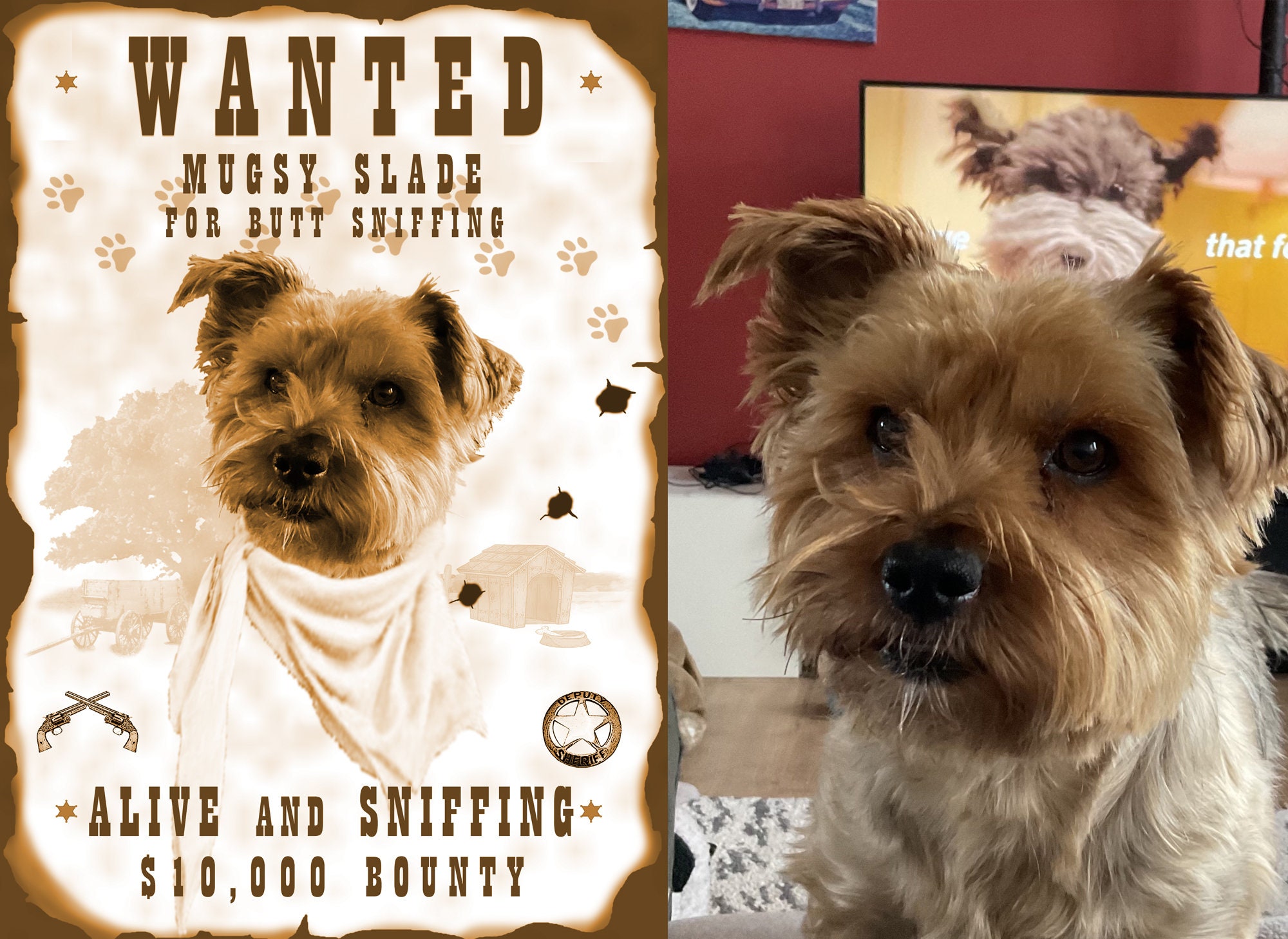 Personalised Wanted Poster for Dogs,cats Pets, Wild West. Digital ...