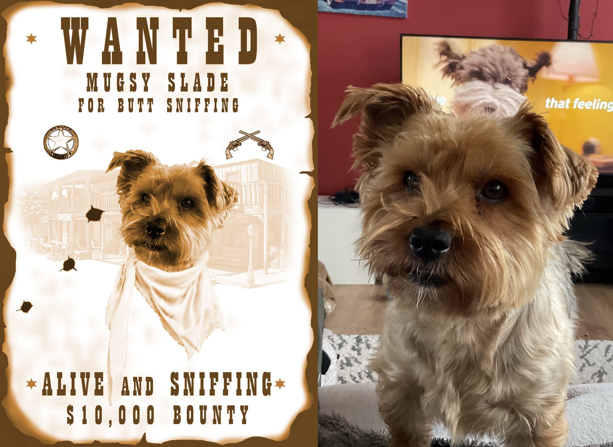WANTED POSTER (personalised) Wild West Digital Download - Etsy
