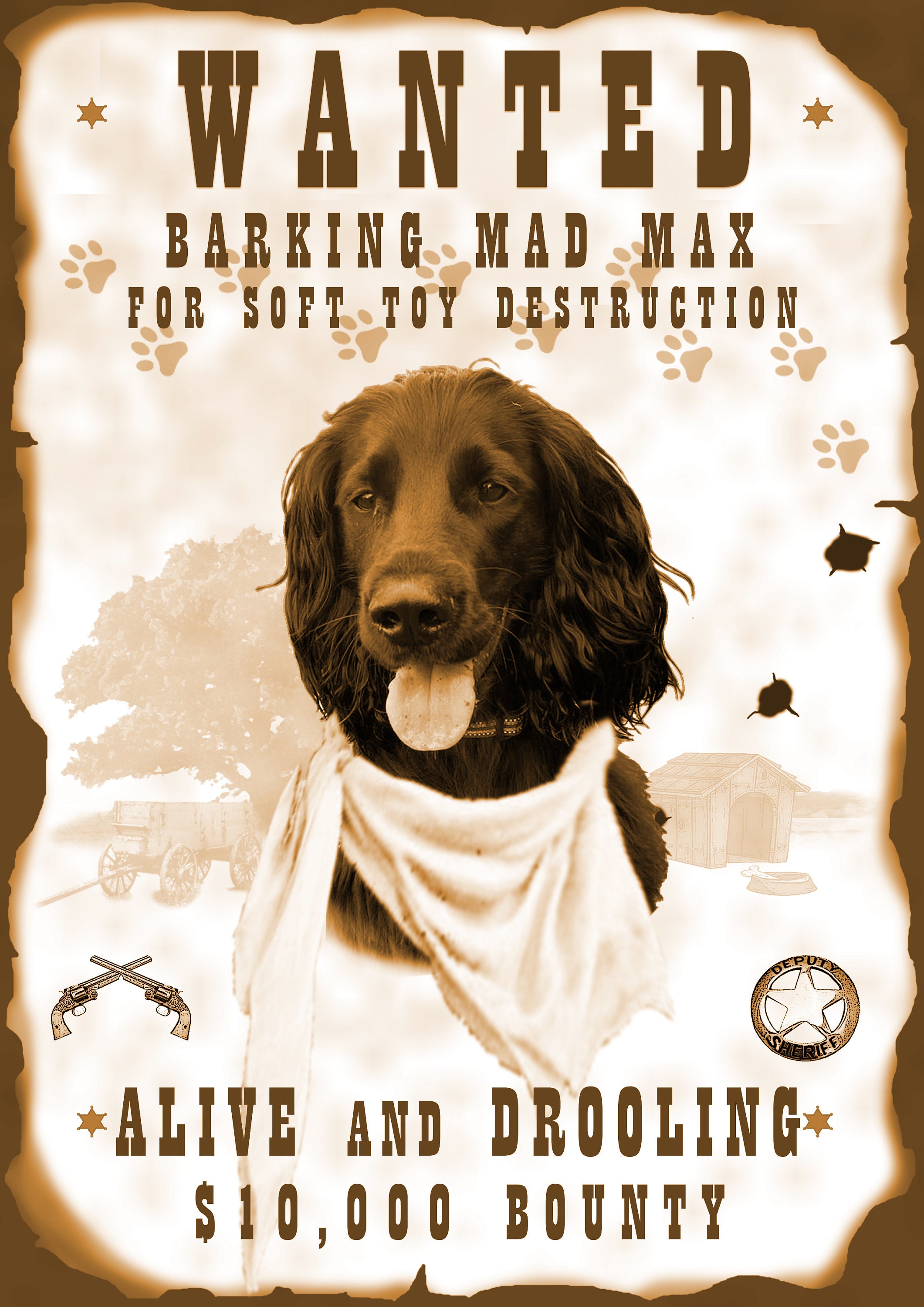 Personalised Wanted Poster for Dogs,cats Pets, Wild West. Digital ...