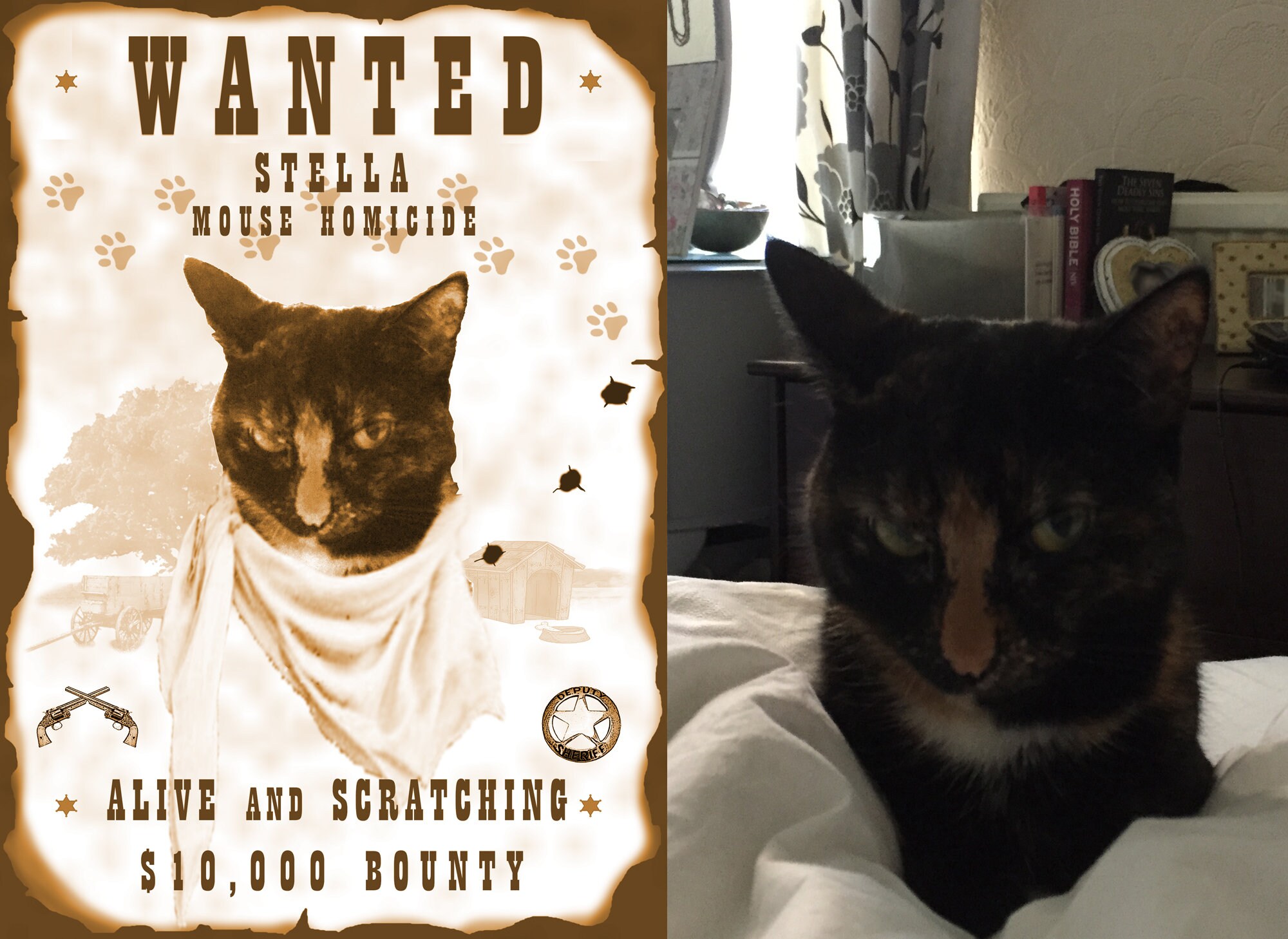 Personalised Wanted Poster for Dogs,cats Pets, Wild West. Digital ...