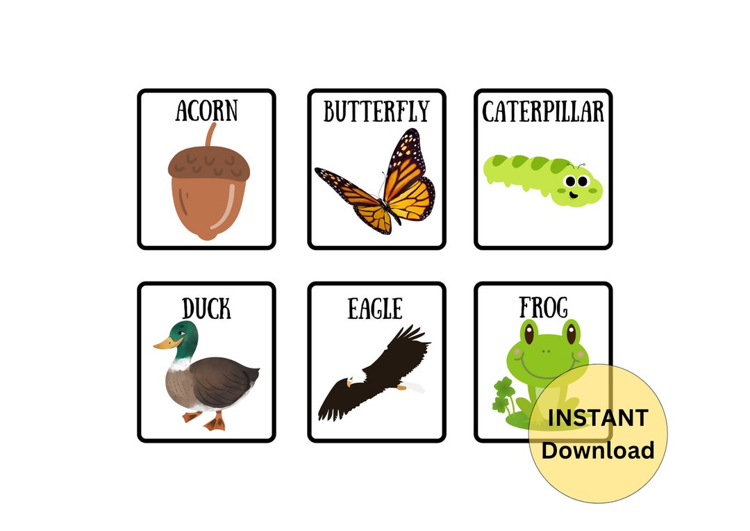 Nature ABC Cards Printable | Homeschool Pintable's Preschool Nursery ...