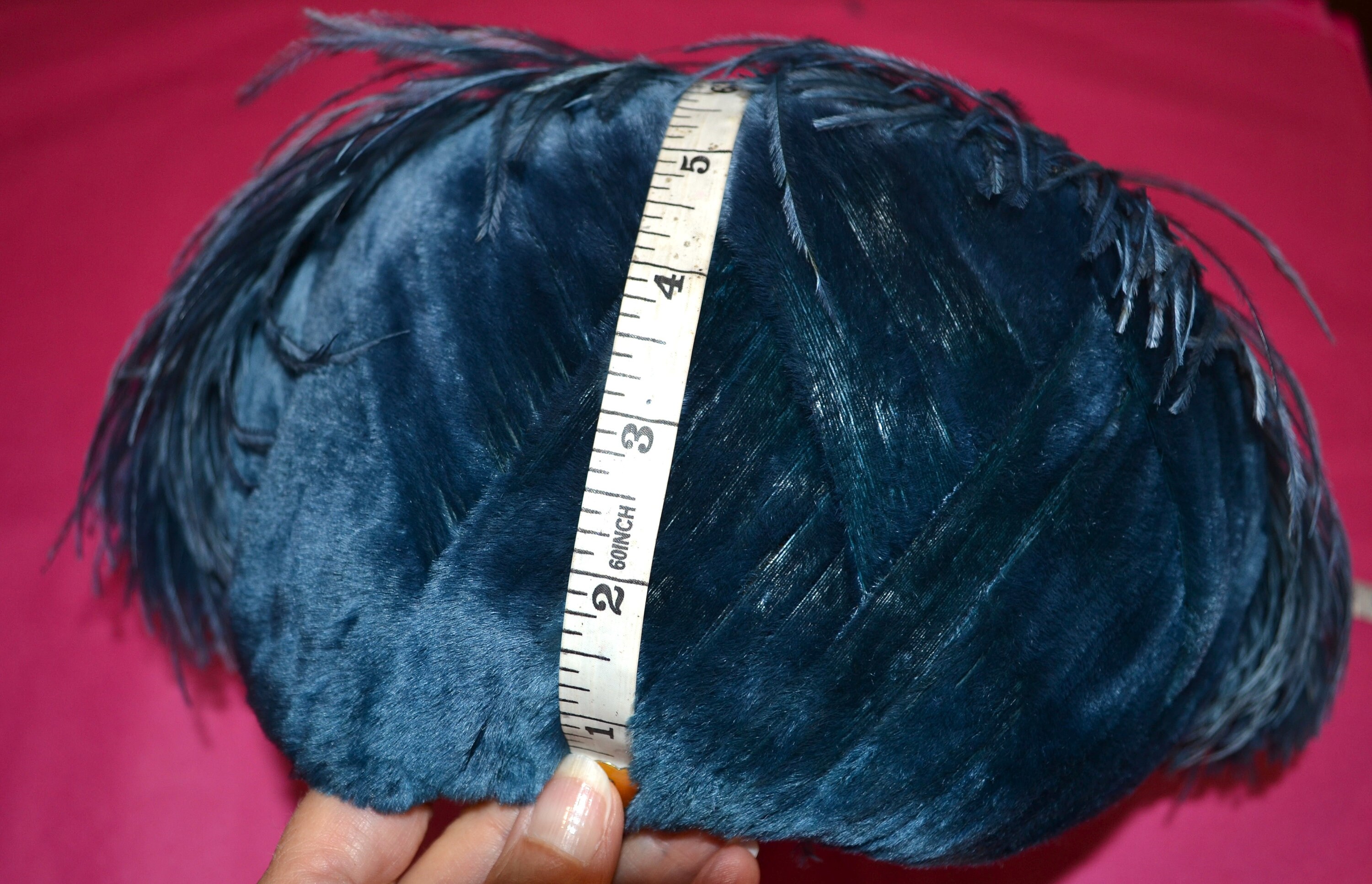 1960s Miss Fay Mountain Blue Bird of Paradise Feather - Etsy