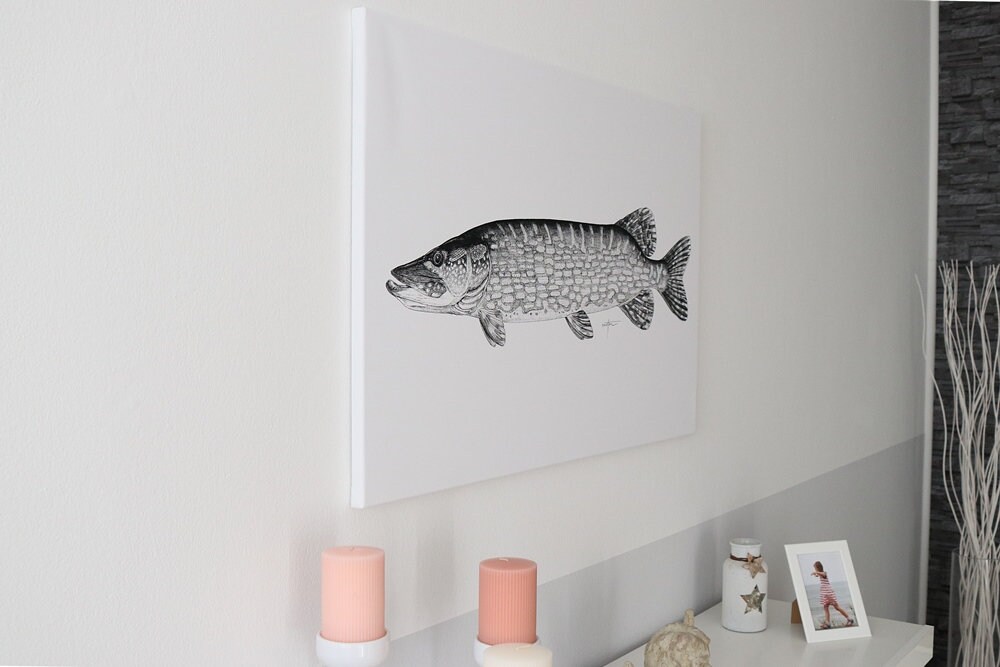 Pike Drawing on a Canvas | Hecht | Northern Pike | Snoek | Gädda ...