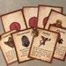 BLOOD HUNTER BUNDLE | Dnd Bloodhunter Pack | Blood Hunter Spells ...