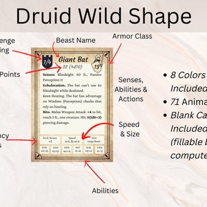 DRUID BUNDLE | Dnd Druid Pack | Druid Spell Cards | Wild Shape ...