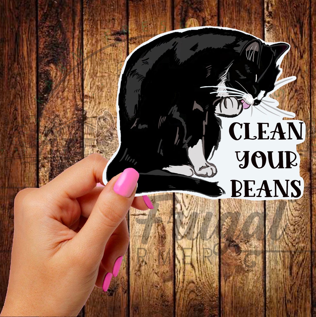 Cute Cat Decal Sticker, Clean Your Beans, Funny Decal, Cat Sticker ...