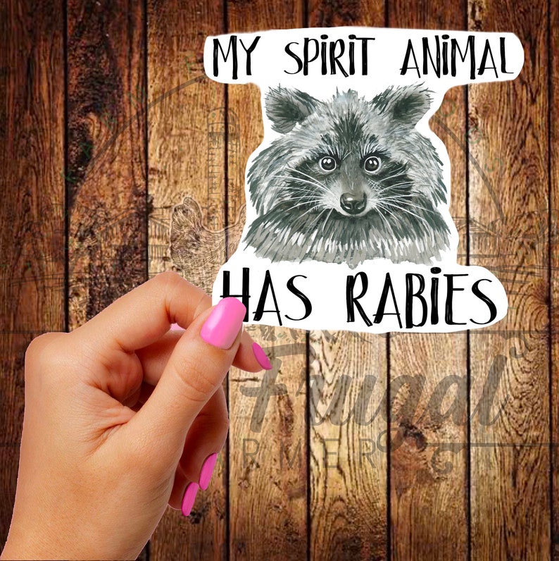 Raccoon Sarcastic Sticker, Funny Decal, My Spirit Animal Has Rabies - Etsy