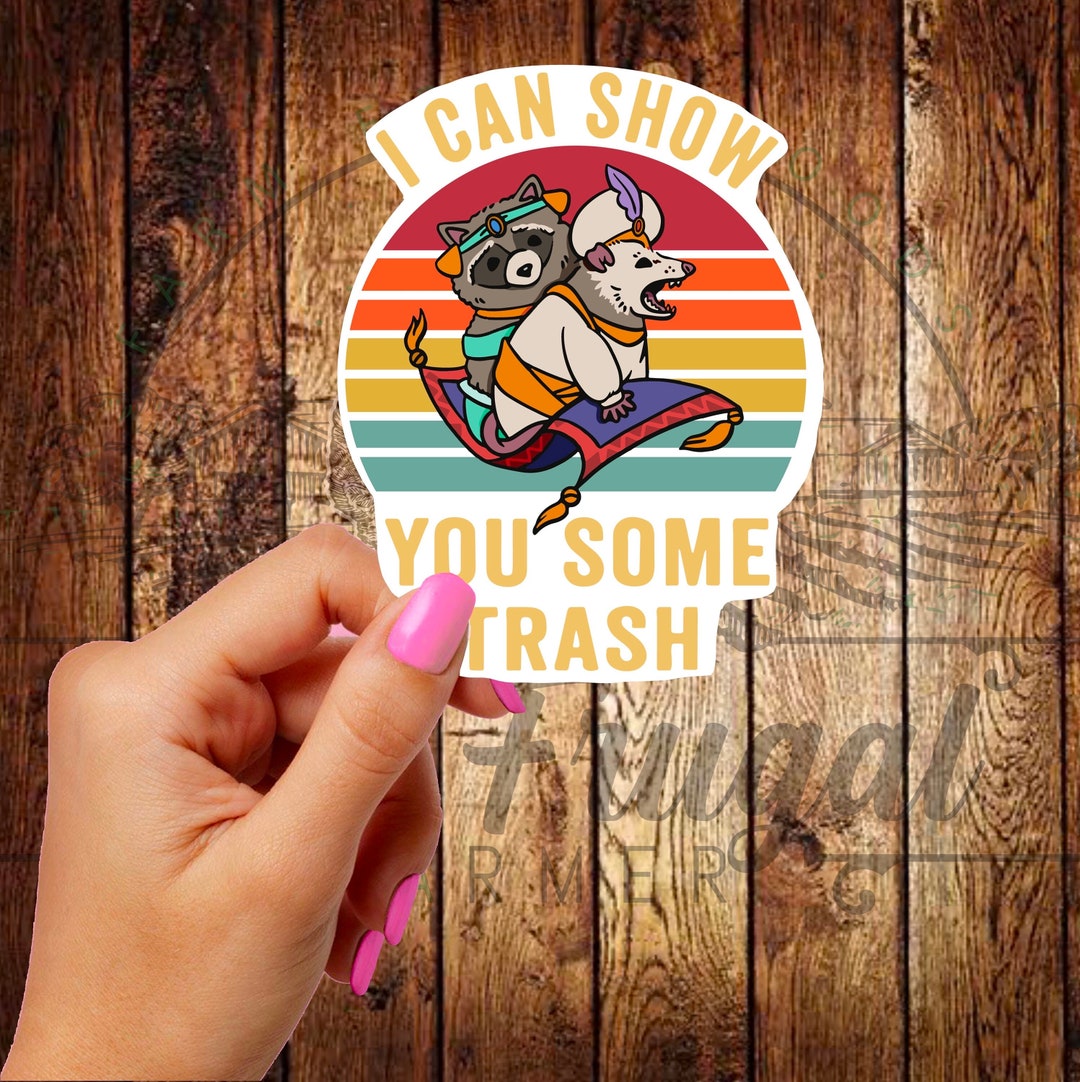 Raccoon Sarcastic Sticker, Funny Decal, Trash Can, I Can Show You Some ...