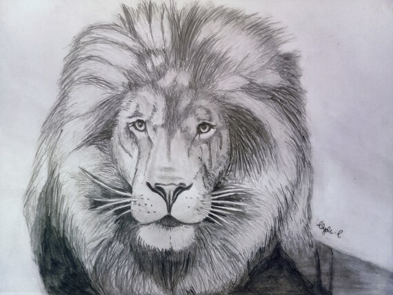 Original Lion Sketch A3 Sized Cartridge Paper - Etsy
