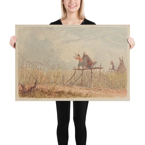 Guarding the Corn Fields Watercolour Art From the - Etsy