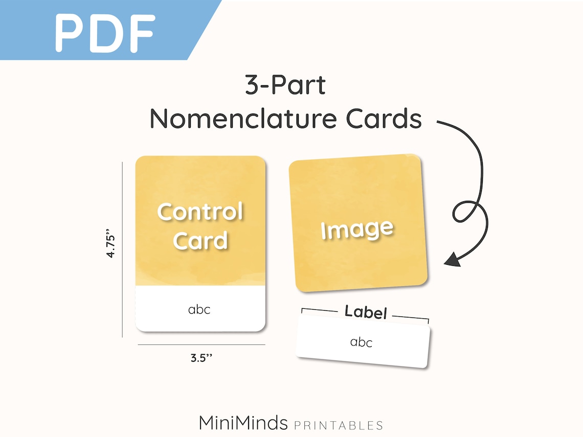 WEATHER Nomenclature 3 Part Cards Montessori Friendly Educational and ...