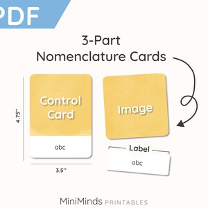 WEATHER Nomenclature 3 Part Cards Montessori Friendly Educational and ...