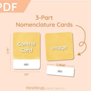 TELLING TIME Nomenclature 3 Part Cards Montessori Friendly - Etsy