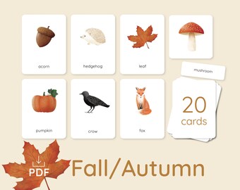 Autumn Vocabulary Flashcards Cursive and Print Homeschool - Etsy