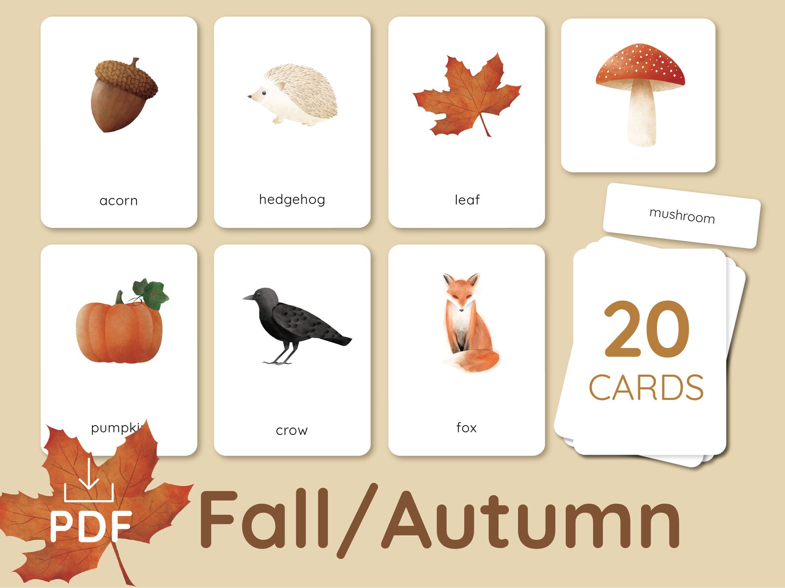 FALL / AUTUMN Nomenclature 3 Part Cards Montessori - Etsy