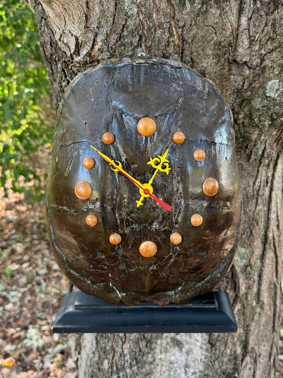 Vintage Snapping Turtle Shell Clock - Etsy