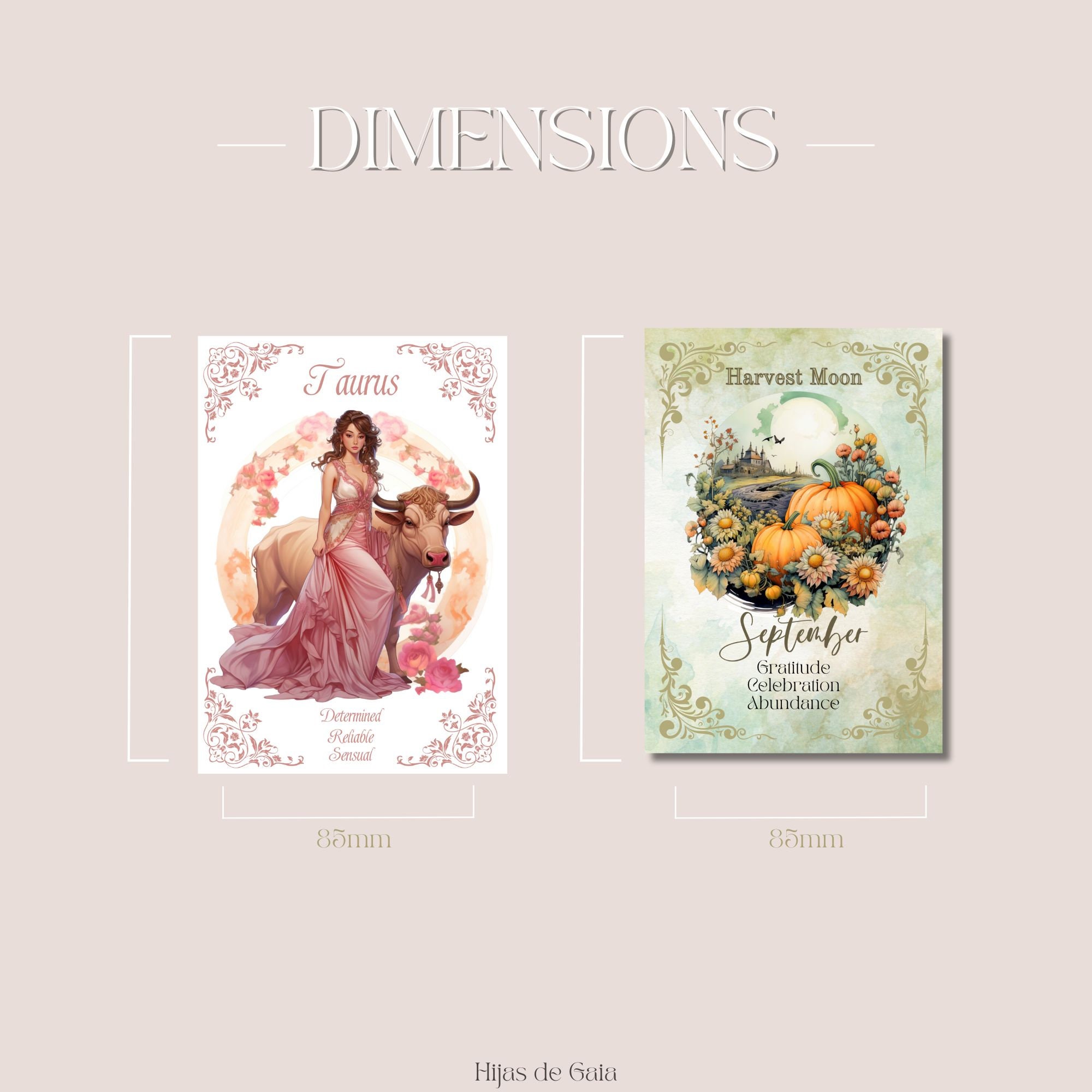 Celestial Magic Oracle Deck Bundle. Zodiac Signs & Lunar Phases ...