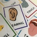 Set of Flashcards Senses, Letters, Numbers, 2d and 3D Shapes, Colours ...