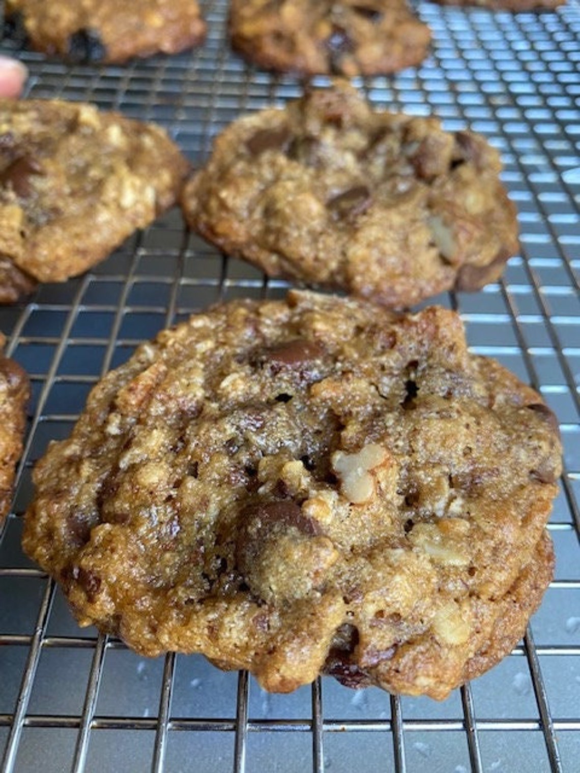Adele's Bakery Signature Chocolate Chip Oatmeal Cookies (made W ...