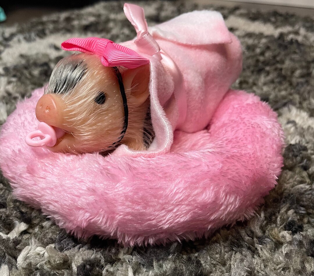 Silicone Teacup Spotted Pig, Pig Adoption Package, Mini Pig, Teacup Pig ...