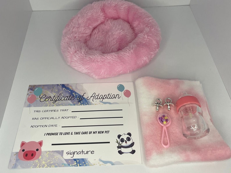 Silicone Teacup Spotted Pig, Pig Adoption Package, Mini Pig, Teacup Pig ...