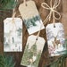 Printable Christmas Gift Tag Bundle Snowy Winter Deer Gift - Etsy