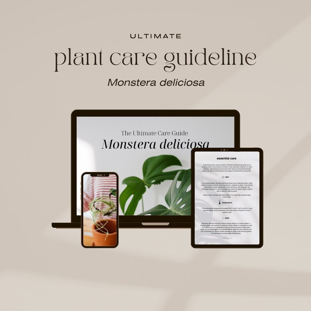 Monstera Deliciosa Plant Care Guide PDF E-book - Etsy