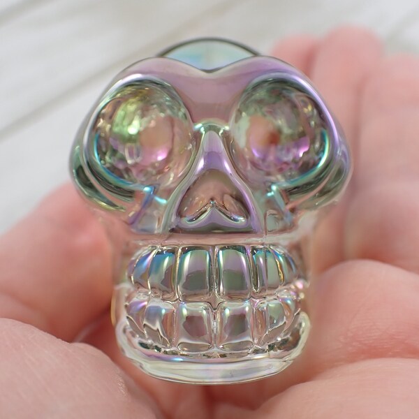 Human Skull - Etsy