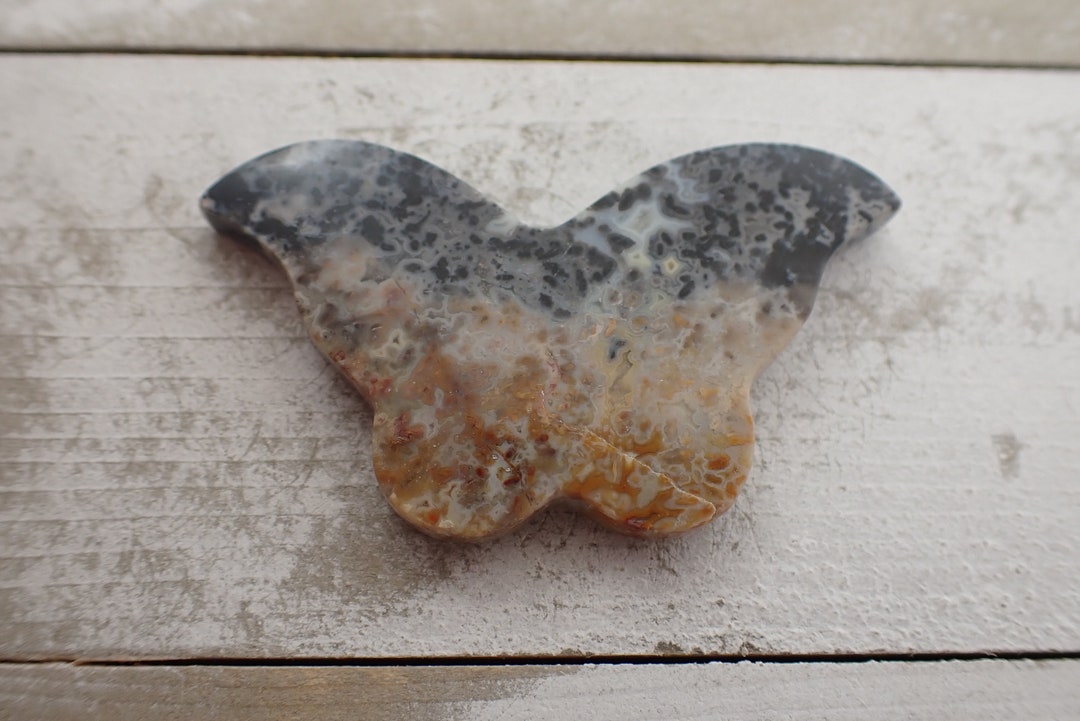 Pretty Natural Palm Root Crystal Butterfly Carving - Black Brown Smooth ...