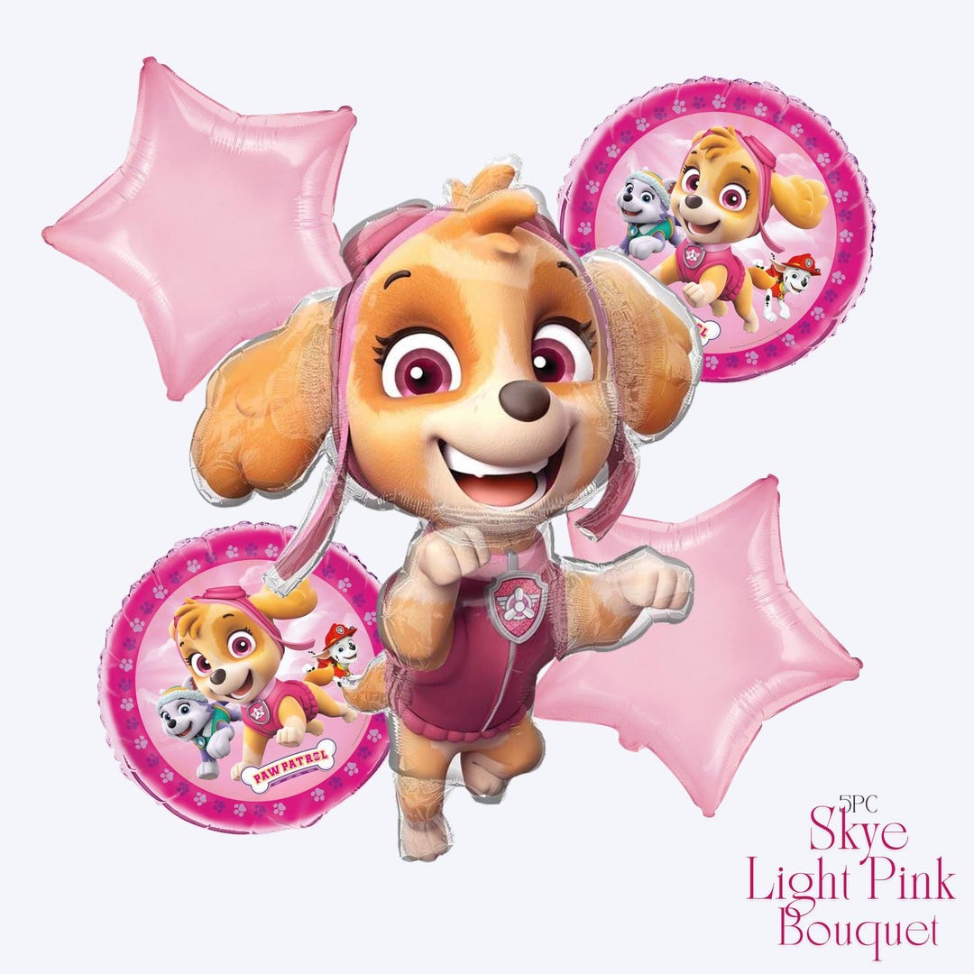 Paw Patrol Skye Balloon Bouquet – Girl Birthday Party Decorations - Etsy