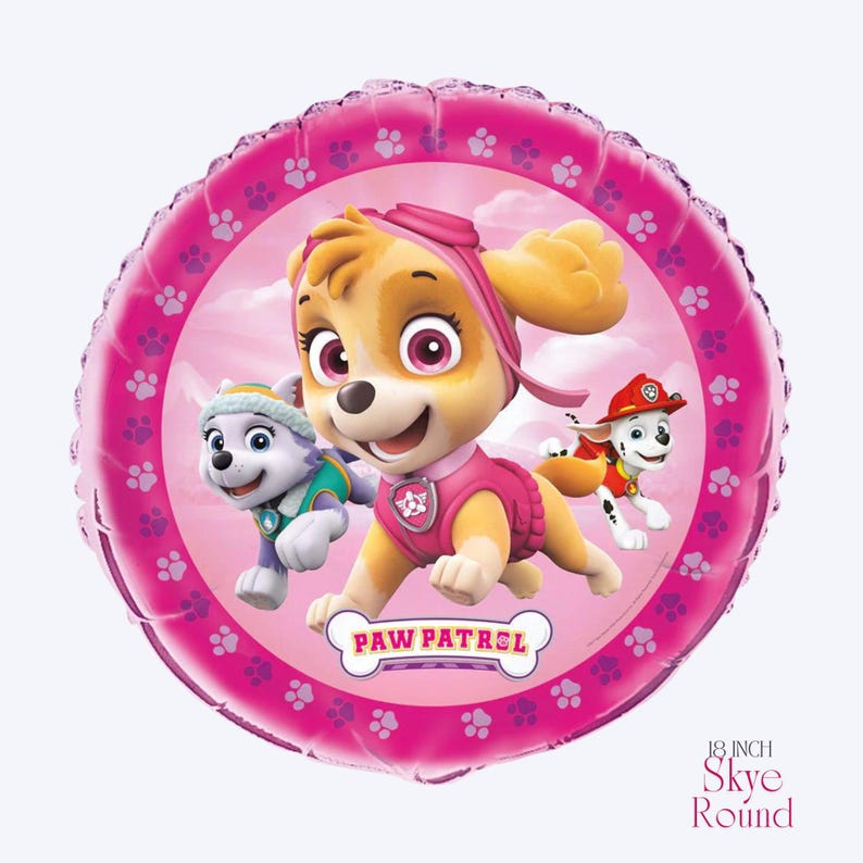 Paw Patrol Skye Balloon Bouquet – Girl Birthday Party Decorations - Etsy