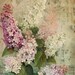 Various Lilac Flowers - Digital Download - Etsy