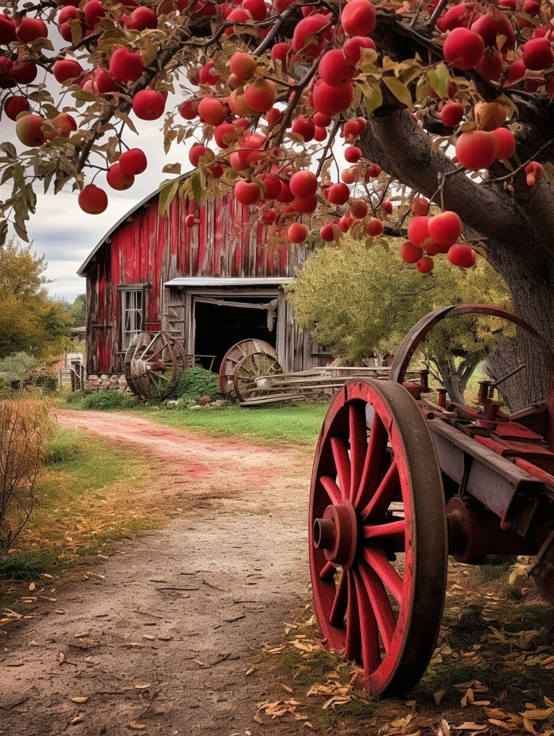 Apple Orchard With Red Barn - Etsy