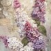 Various Lilac Flowers - Digital Download - Etsy