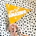 Printable Kids Pennant Flags | Kids Basket Decor Flag | Be Kind You’e ...